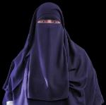 Doctor Asma Shawky Family Doctor | Vezeeta.com